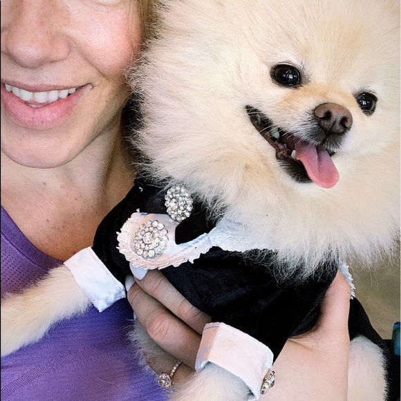 vanderpump pets | Dog | Vanderpump Dog Tuxedos | Poshmark